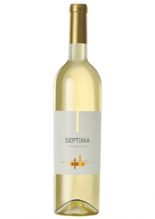 Séptima Chardonnay